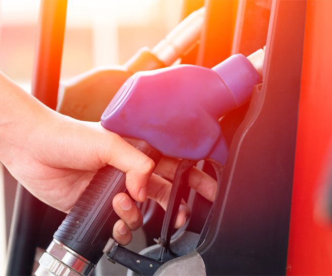 Food and Beverage – Sydney Fuels